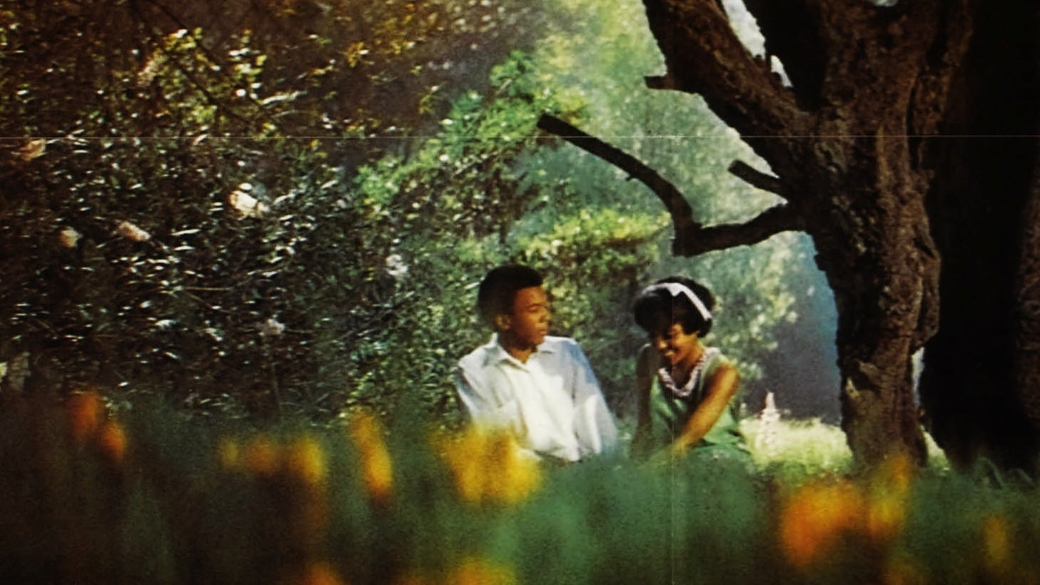 The Learning Tree - Alle Informationen zum Film