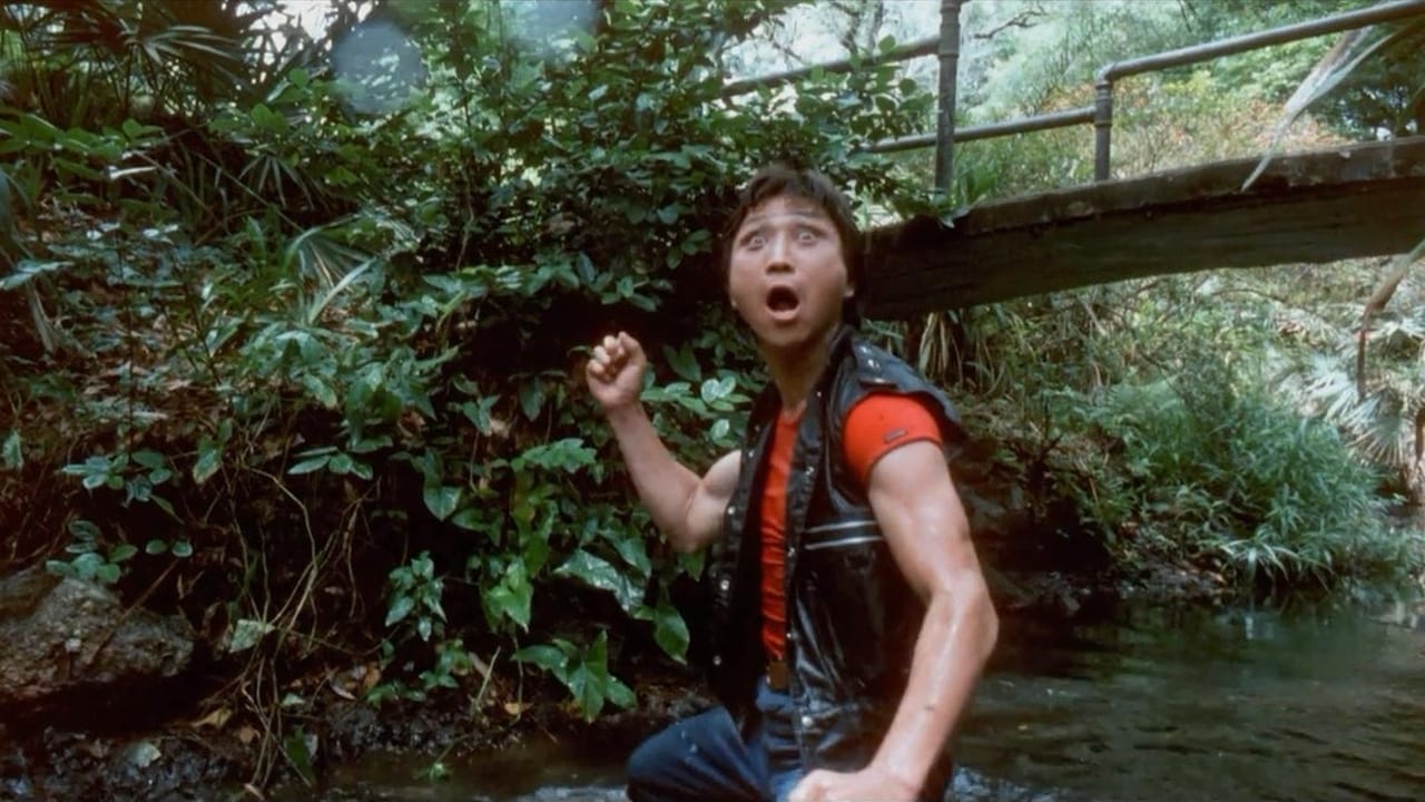 Miami Connection - Toutes les informations sur le film